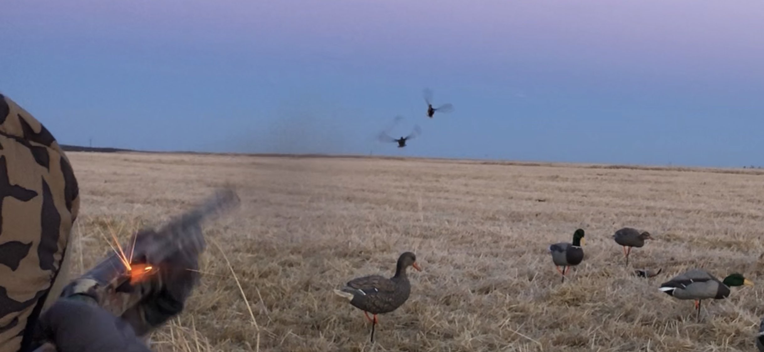 Goose Hunting Photos Saskatchewan | Duck Hunting Trips Gallery
