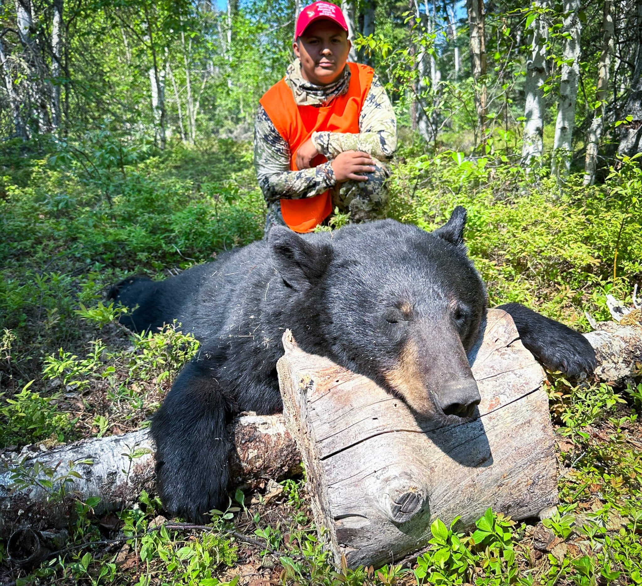Saskatchewan Bear Hunts: Where Adventure Meets the Wild Bear Hunts: